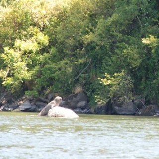 Four Seasons RV Resort - Gold Beach, Oregon - RV LIFE Campground Reviews